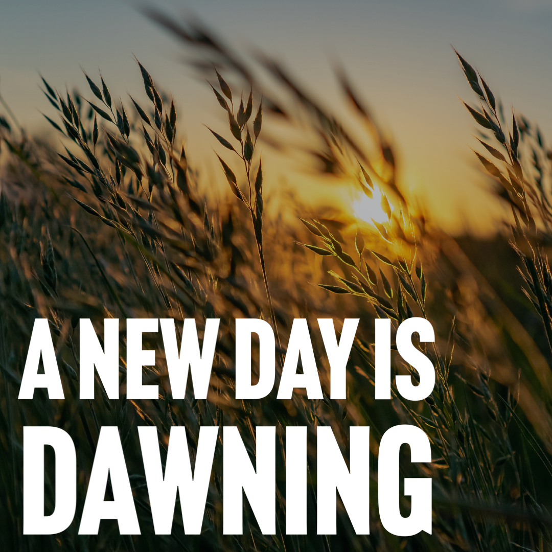 A New Day is Dawning — Nature Reliance