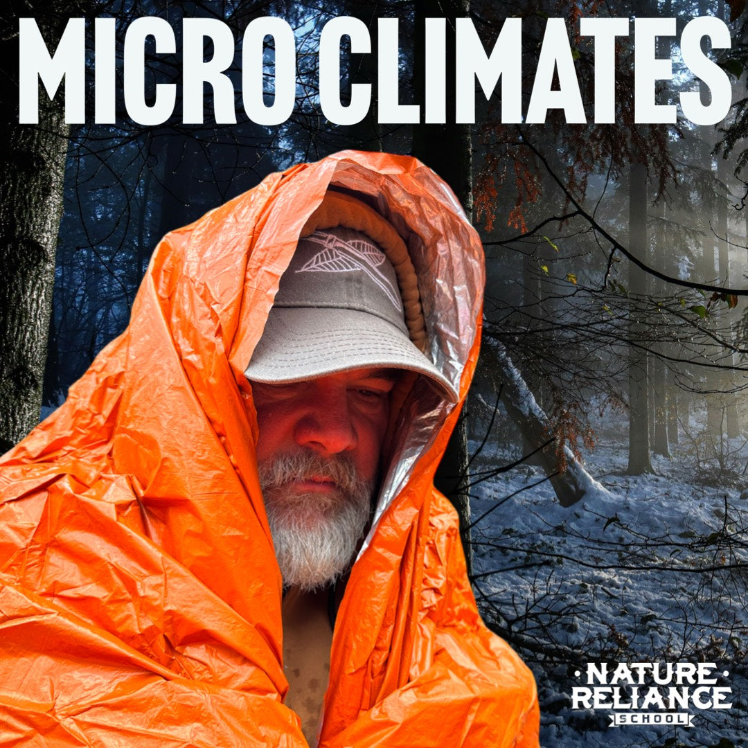 Surviving in Style: How Microclimates Shape Our Outdoor Adventures ...